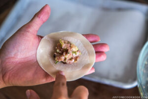 How to Fold Gyoza • Just One Cookbook