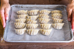 How to Fold Gyoza • Just One Cookbook