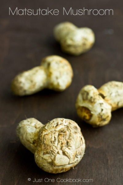 Matsutake Gohan (Wild Pine Mushroom Rice) 松茸ご飯 • Just One Cookbook