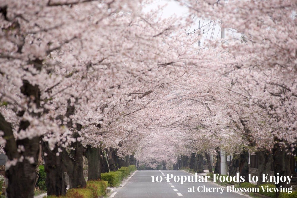 10 Popular Foods to Enjoy at Cherry Blossom Viewing (Hanami) • Just One ...