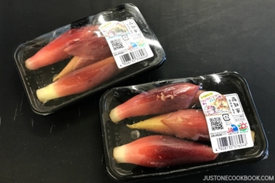 Myoga Ginger ミョウガ | Japanese Pantry • Just One Cookbook