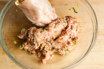 Gyoza Recipe 餃子(ぎょうざ) • Just One Cookbook