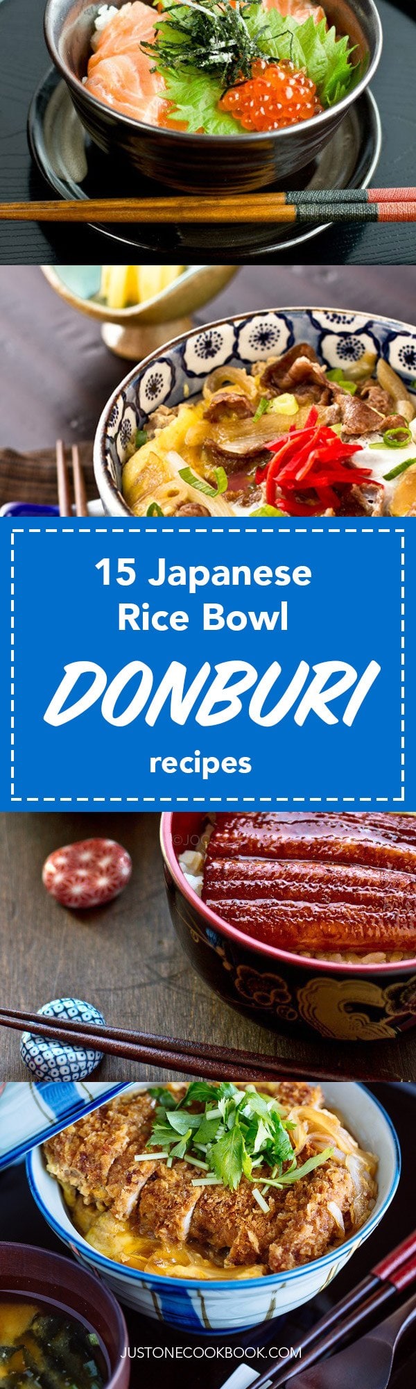 20 Donburi (Japanese Rice Bowl) Recipes • Just One Cookbook