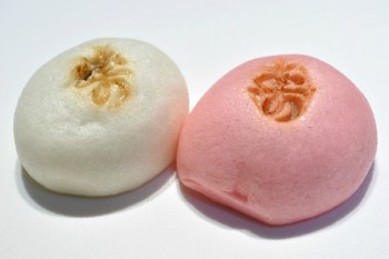 Manju (Japanese Steamed Cake) 利休饅頭 • Just One Cookbook