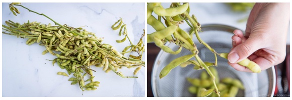 What is Edamame and How Do You Cook It? • Just One Cookbook