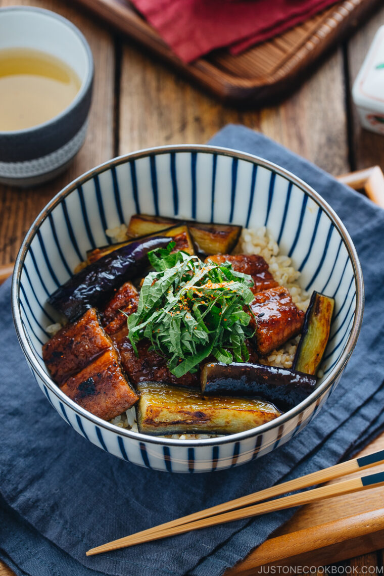 Eggplant Unagi Donburi 茄子と鰻の丼ぶり • Just One Cookbook