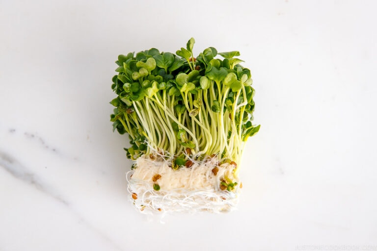 Kaiware Daikon (Daikon Radish Sprouts) • Just One Cookbook