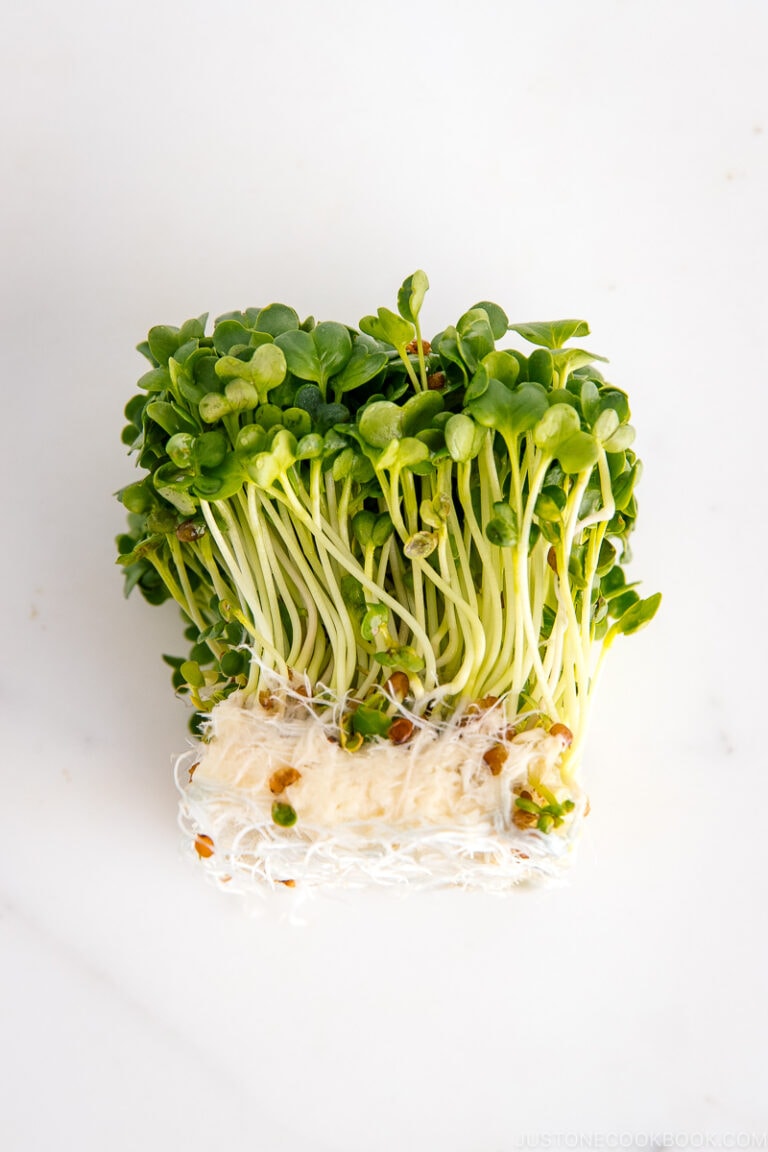 Kaiware Daikon (Daikon Radish Sprouts) • Just One Cookbook