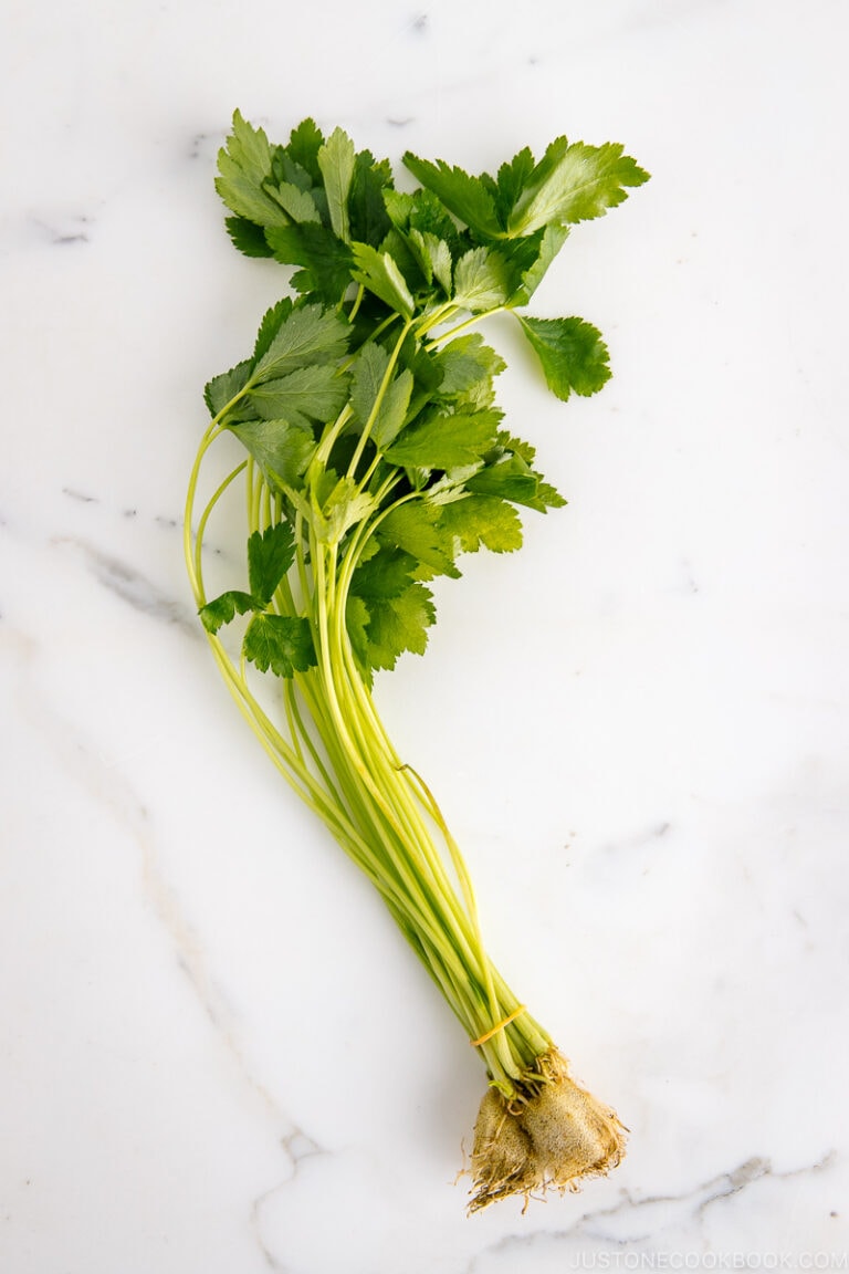 Mitsuba (Japanese Wild Parsley) • Pantry • Just One Cookbook