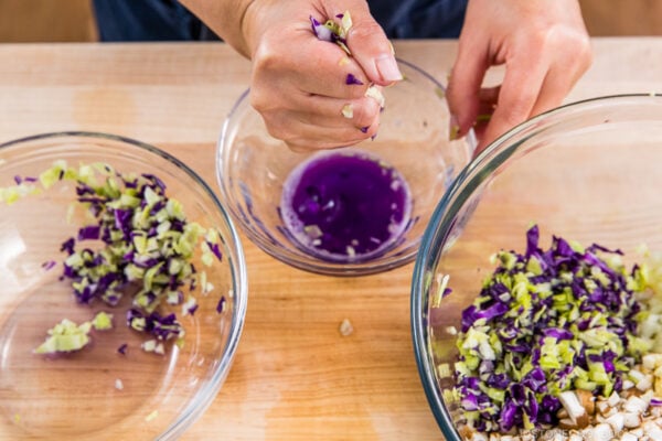 Vegetable Gyoza (Vegan/Vegetarian) 野菜の餃子 • Just One Cookbook