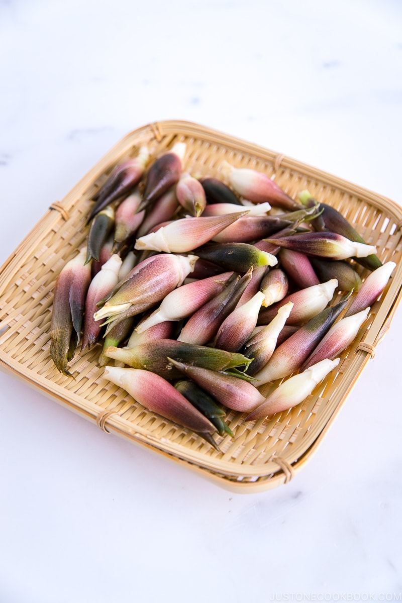 Myoga Ginger ミョウガ | Japanese Pantry • Just One Cookbook