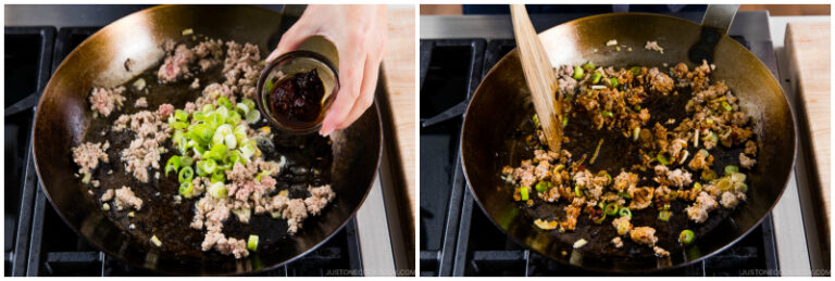 Mapo Eggplant (Mabo Nasu) 麻婆茄子 • Just One Cookbook