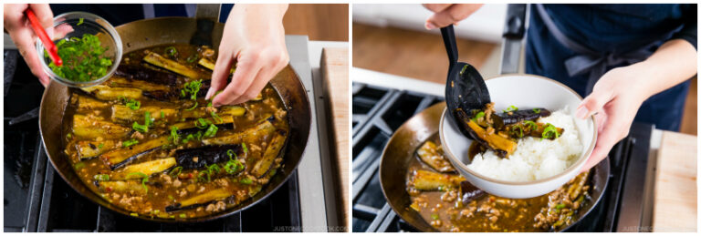 Mapo Eggplant (Mabo Nasu) 麻婆茄子 • Just One Cookbook