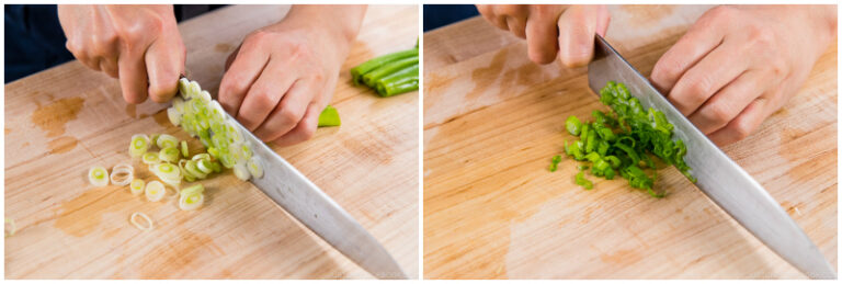 Mapo Eggplant (Mabo Nasu) 麻婆茄子 • Just One Cookbook