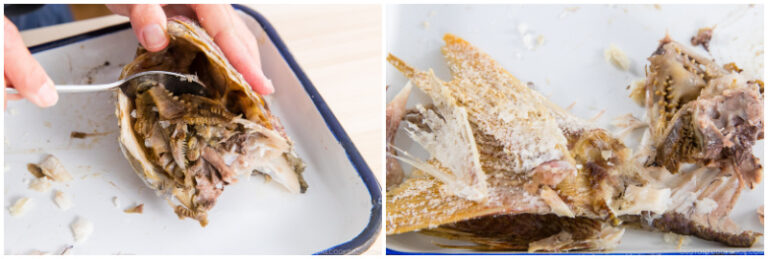 How to Make Tai Meshi with Leftover Baked Sea Bream 鯛飯 • Just One Cookbook