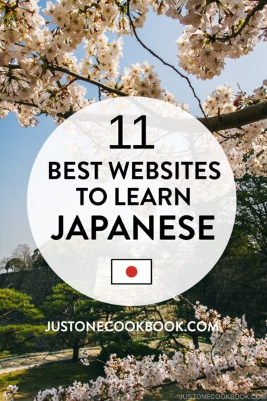 11 Best Websites to Learn Japanese • Just One Cookbook