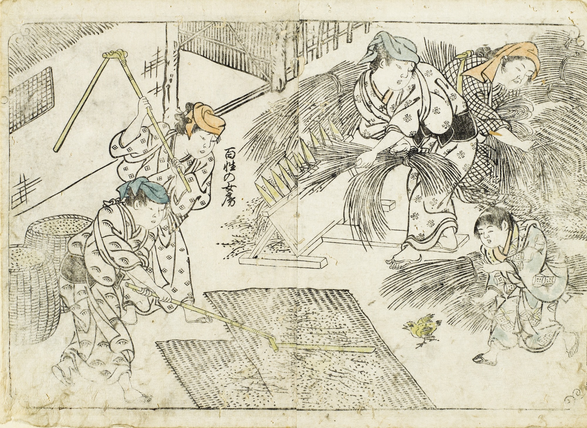 The History of Japanese Rice • Just One Cookbook