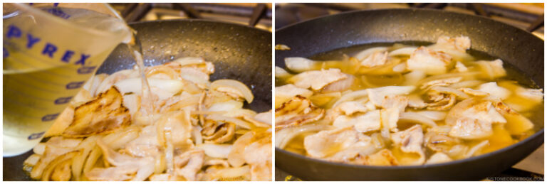 Pork Curry Donburi ポークカレー丼ぶり • Just One Cookbook