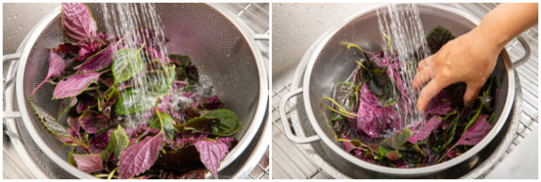 Aka Shiso Juice (Red Perilla Juice) 赤紫蘇ジュース • Just One Cookbook