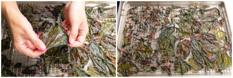 Aka Shiso Juice (Red Perilla Juice) 赤紫蘇ジュース • Just One Cookbook