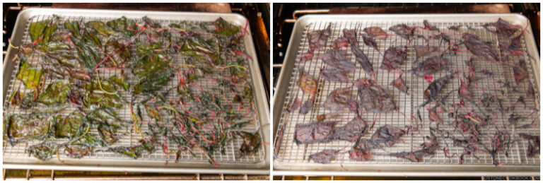 Aka Shiso Juice (Red Perilla Juice) 赤紫蘇ジュース • Just One Cookbook