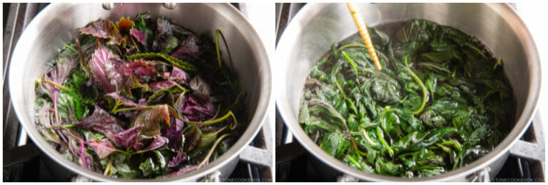 Aka Shiso Juice (Red Perilla Juice) 赤紫蘇ジュース • Just One Cookbook