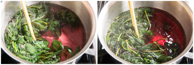 Aka Shiso Juice (Red Perilla Juice) 赤紫蘇ジュース • Just One Cookbook