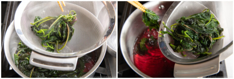 Aka Shiso Juice (Red Perilla Juice) 赤紫蘇ジュース • Just One Cookbook