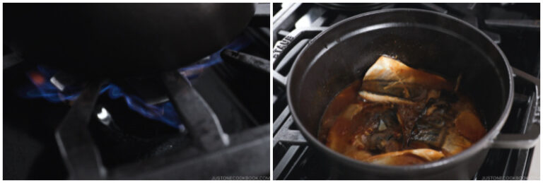 Saba Misoni (Mackerel Simmered in Miso) (Video) 鯖の味噌煮 • Just One Cookbook