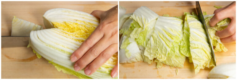 Mizore Nabe (Hot Pot with Grated Daikon) みぞれ鍋 • Just One Cookbook