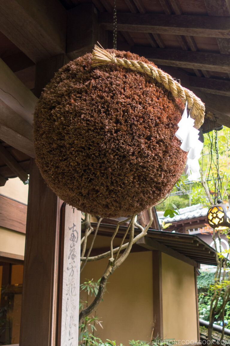 The Japanese Sake Culture – An In-Depth Guide • Just One Cookbook