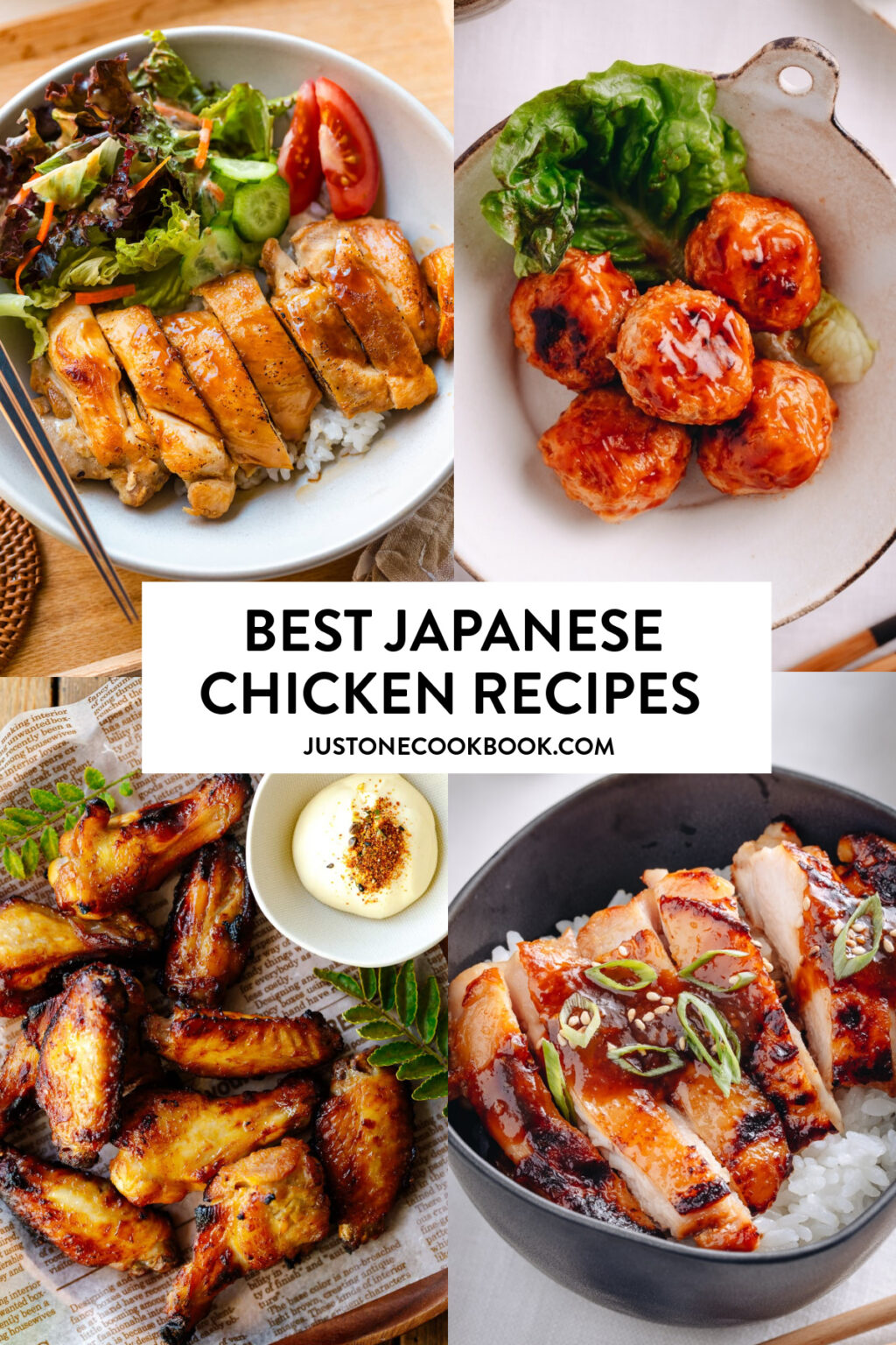 20 Best Japanese Chicken Recipes for Dinner • Just One Cookbook