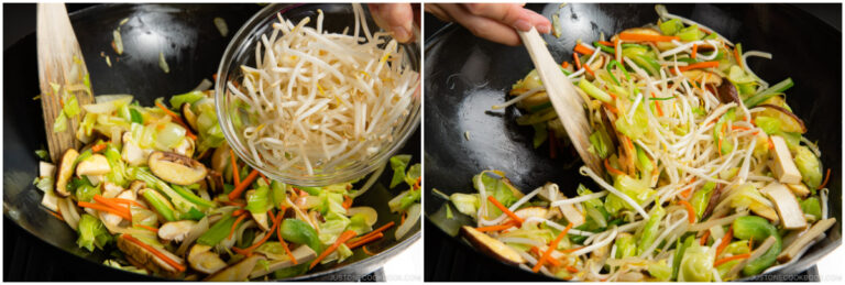 Vegetable Yakisoba 野菜焼きそば • Just One Cookbook