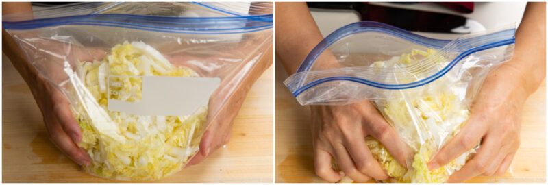 Pickled Napa Cabbage 白菜の浅漬け • Just One Cookbook