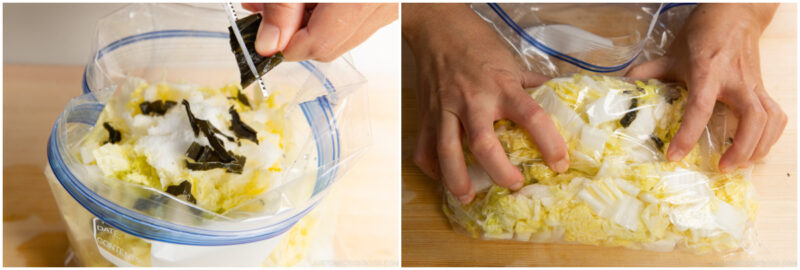 Pickled Napa Cabbage 白菜の浅漬け • Just One Cookbook