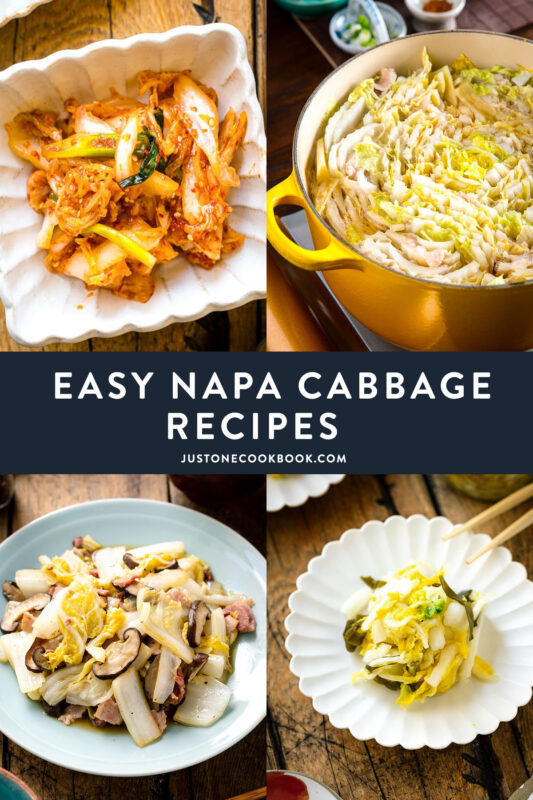 Best Napa Cabbage Recipes • Just One Cookbook