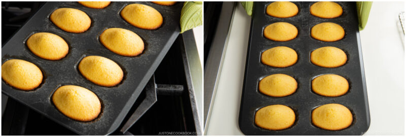 Madeleines (French Butter Cakes) マドレーヌ • Just One Cookbook