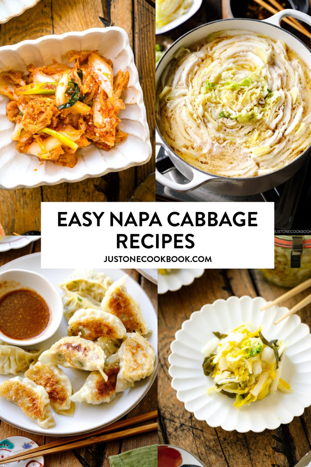 Best Napa Cabbage Recipes • Just One Cookbook