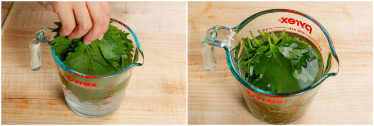 Shiso Garlic Soy Sauce 大葉にんにく醤油 • Just One Cookbook