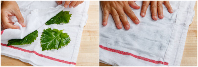 Shiso Garlic Soy Sauce 大葉にんにく醤油 • Just One Cookbook