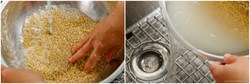 How to Cook Short-Grain Brown Rice in a Rice Cooker 玄米 • Just One Cookbook