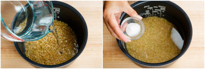 How to Cook Short-Grain Brown Rice in a Rice Cooker 玄米 • Just One Cookbook