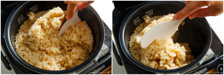 How to Cook Short-Grain Brown Rice in a Rice Cooker 玄米 • Just One Cookbook