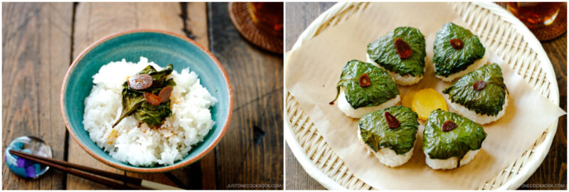 Shiso Garlic Soy Sauce 大葉にんにく醤油 • Just One Cookbook