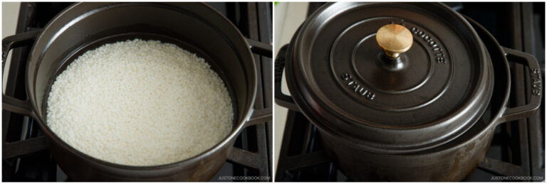 How to Cook Japanese Rice in a Pot on the Stove (Video) • Just One Cookbook