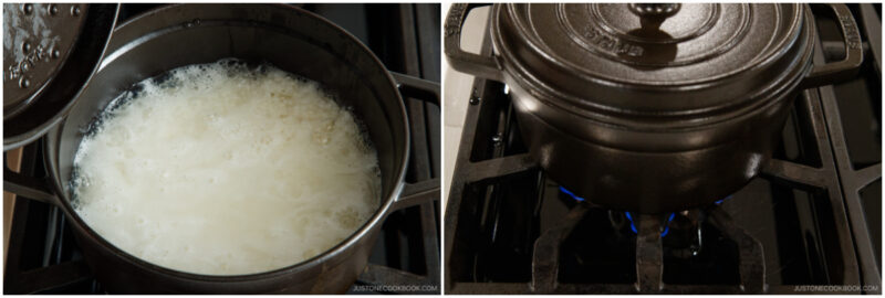 How to Cook Japanese Rice in a Pot on the Stove (Video) • Just One Cookbook