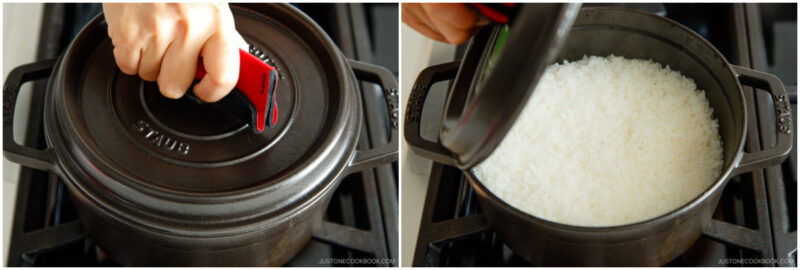 How to Cook Japanese Rice in a Pot on the Stove (Video) • Just One Cookbook