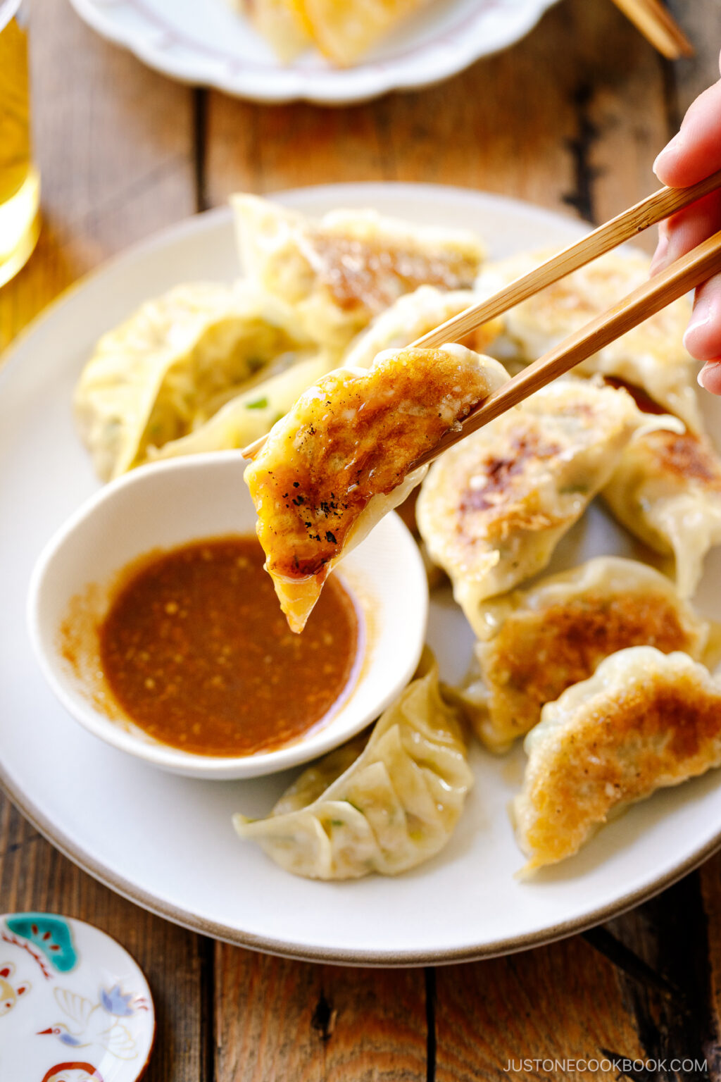 Gyoza with Miso Dipping Sauce 白菜餃子 • Just One Cookbook