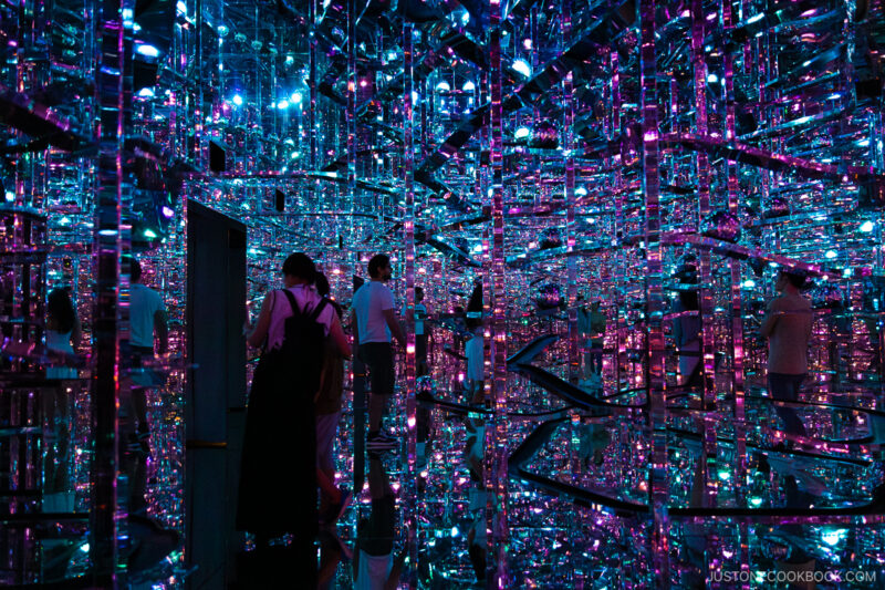 Step into Immersive Art: teamLab Borderless at Azabudai Hills • Just ...