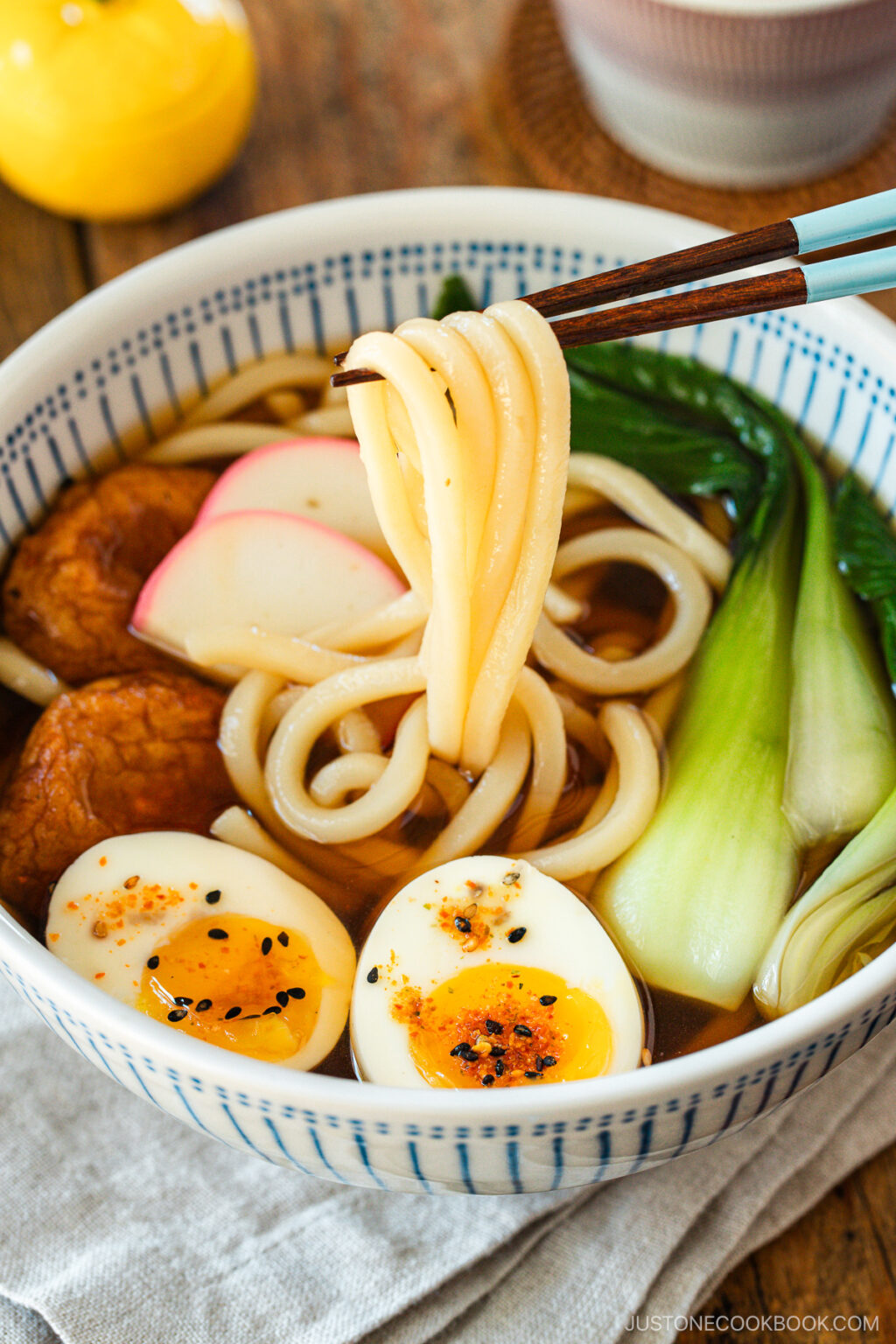 Easy Udon Noodle Soup (Video) • Just One Cookbook